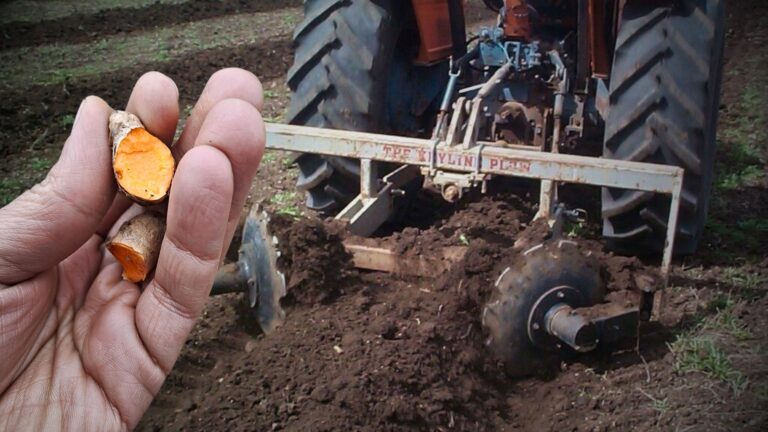 Agroforestry Project - Earthtree